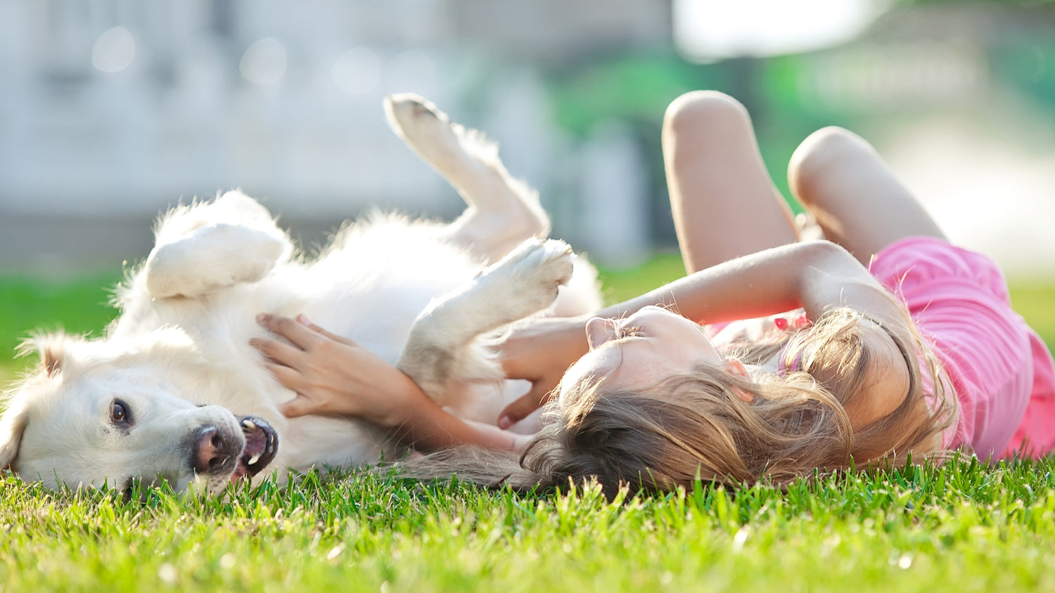 Cultivating Clarity: Embrace Spring with Fresh Insights